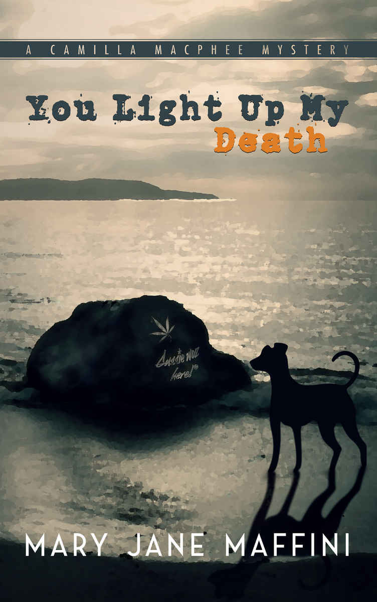 NEW RELEASE! You Light Up My Death, A Camilla MacPhee Mystery by Mary ...
